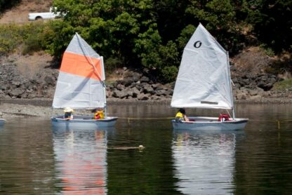 Tips For Single Handed Sailing - Precision Sails
