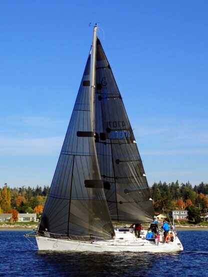 Crosscut and Tri-Radial Sails - Precision Sails