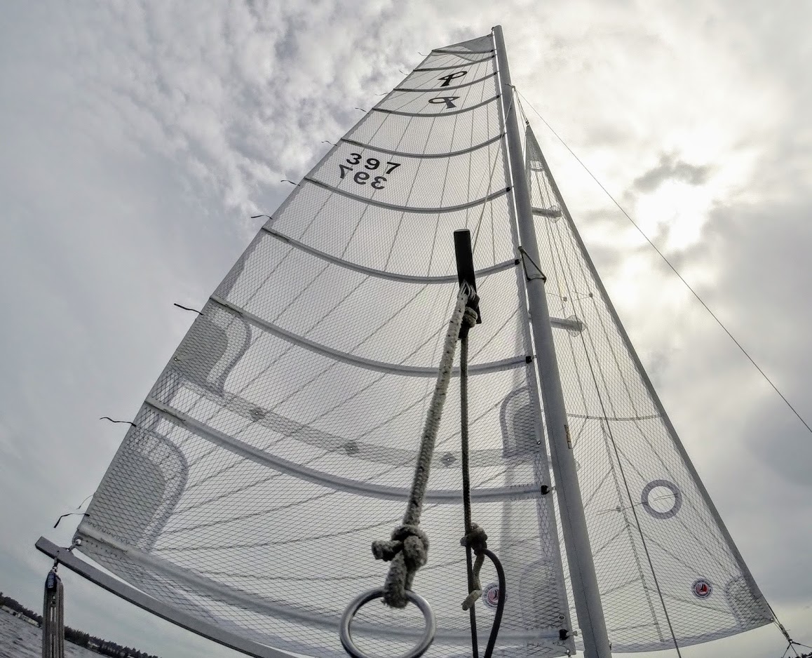 Dimension-Polyant Flex Polyester - Precision Sails